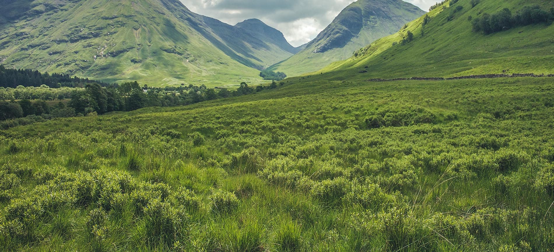 Science Based Targets for Nature (SBTN) : Nature-Based Solutions Initiative