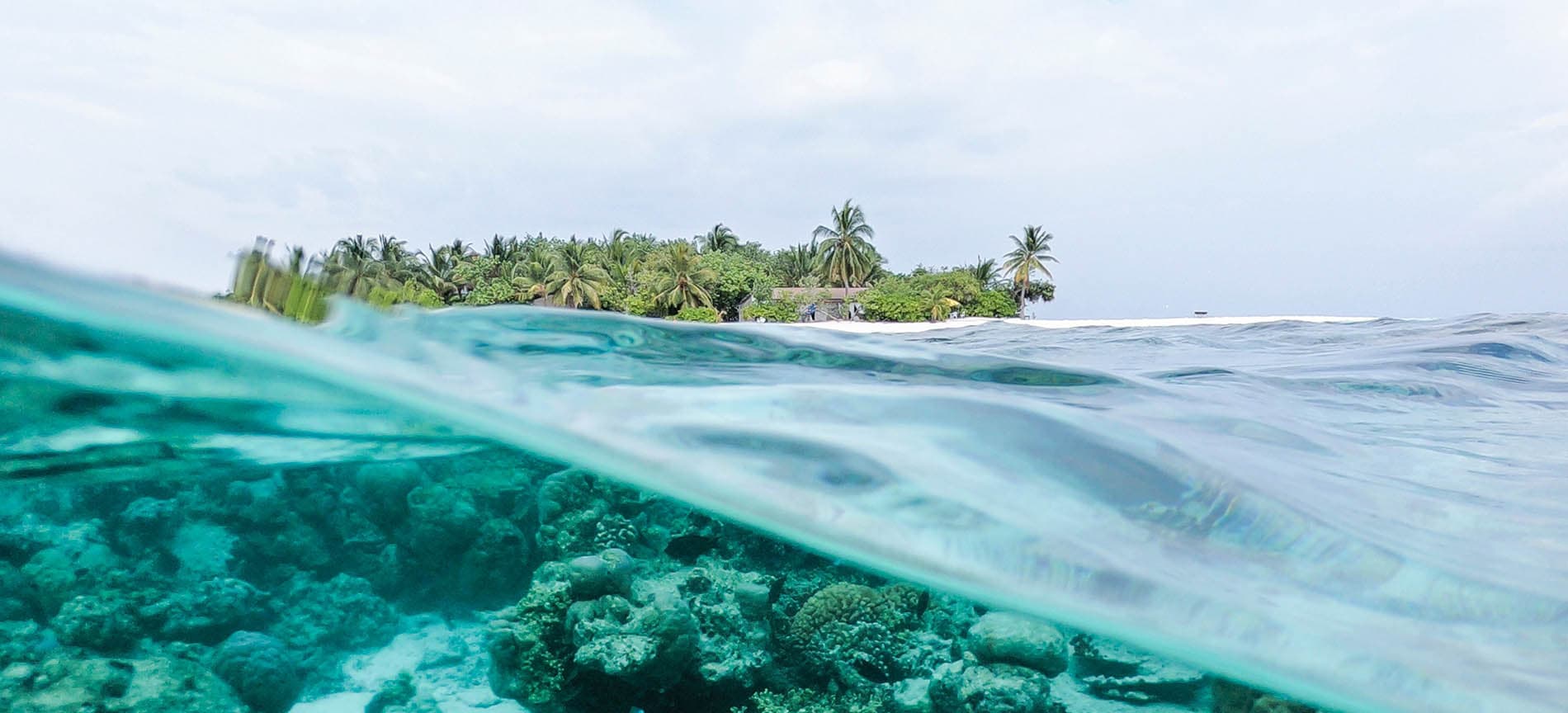 Nature for climate in New York : Nature-Based Solutions Initiative